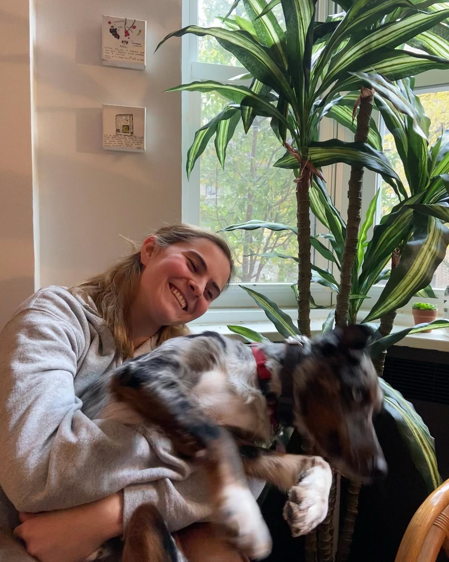 Mckenna Quigley Harrington: Everything You Should Know