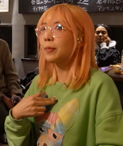 LilyPichu Age: Exploring The Life And Career Of A Streaming Sensation
