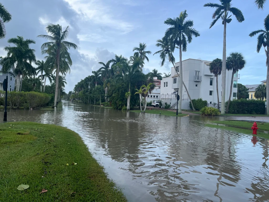 Naples Florida Hurricane: Navigating The Storm With Resilience And ...