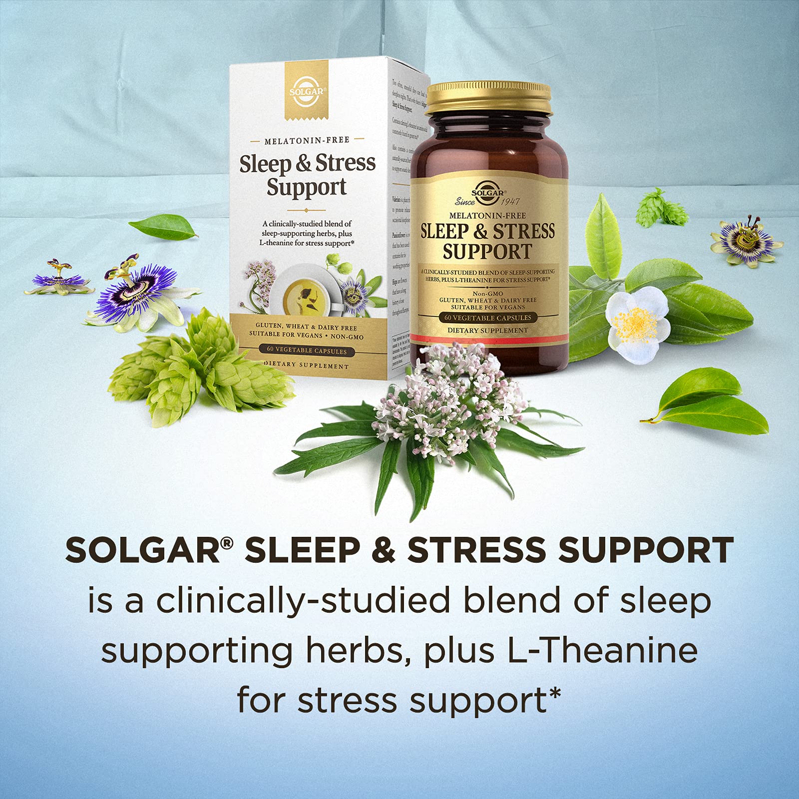 Choosing The Right Supplement For Sleep Support