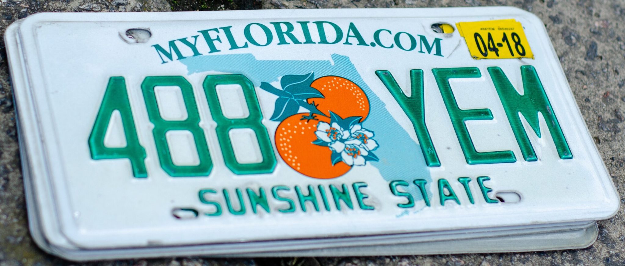 Florida License Plates: Unveiling The Vibrant Power Of Sunshine State Pride