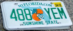 Florida License Plates: Unveiling The Vibrant Power Of Sunshine State Pride