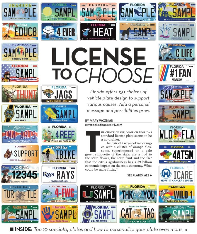 Florida Vanity Plates: Unlock Personalized Style And Unique Expression ...