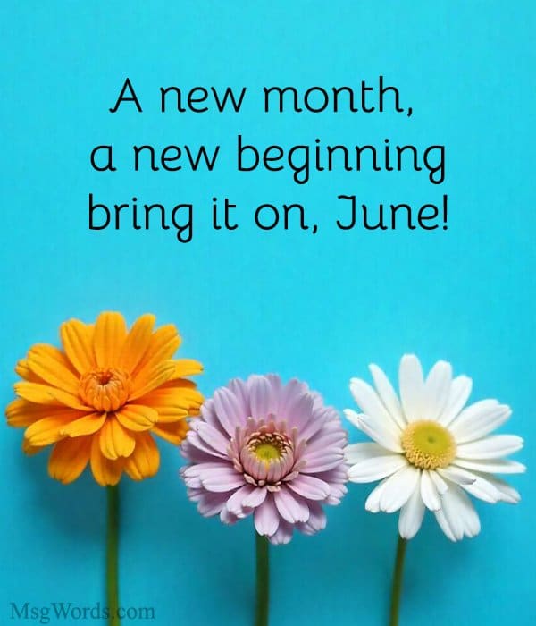 Welcome June Blessings: Embracing Joy, Sunshine, And New Beginnings In 2025