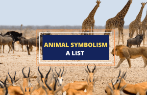 What Animal Represents Rage: Unleash The Fierce Symbolism Of Nature's ...